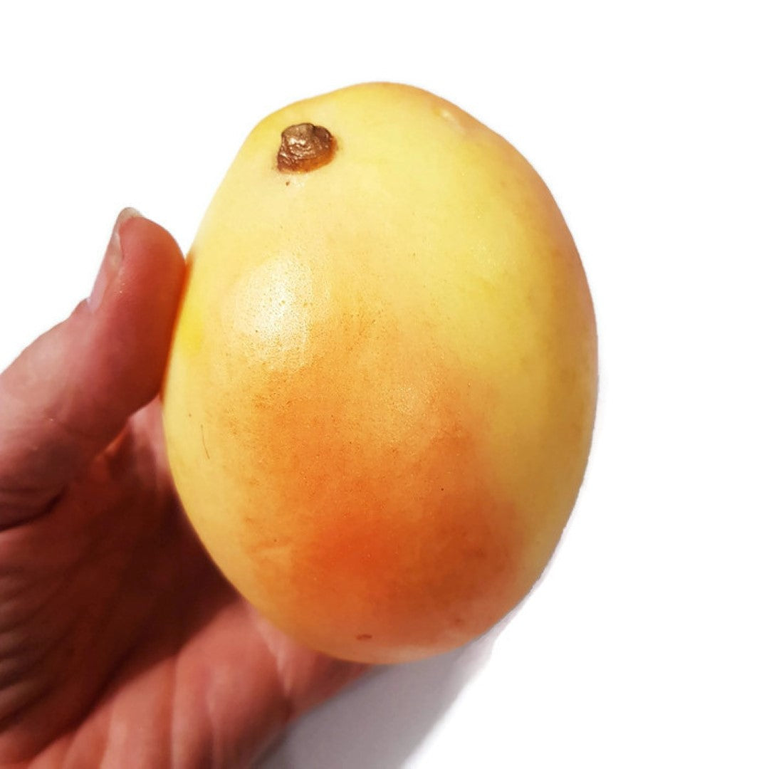 Mango Silicone Mould – Renascent Bath and Body