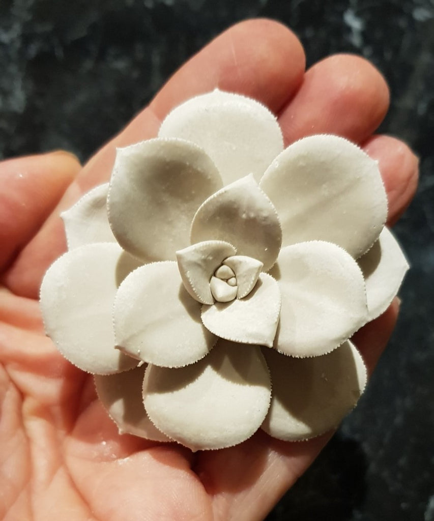 Hydrostone Powder – Renascent Bath and Body